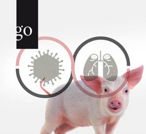 Online-Seminare, Fortbildung für Tierärzte, Veterinärmediziner, TFA